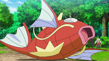 Magikarp - WikiDex, la enciclopedia Pokémon