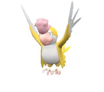 Categoría:Squawkabilly - WikiDex, la enciclopedia Pokémon