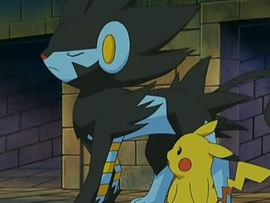 Luxray de Marble - WikiDex, la enciclopedia Pokémon