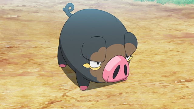 Archivo:EP1245 Lechonk.png - WikiDex, la enciclopedia Pokémon