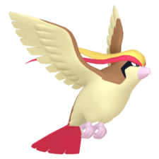 Pidgeot - WikiDex, la enciclopedia Pokémon