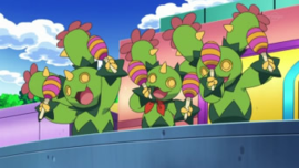 EP715: ¡Un musical Maractus! - WikiDex, la enciclopedia Pokémon