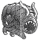Pokémon beta - WikiDex, la enciclopedia Pokémon