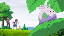 Goomy - WikiDex, la enciclopedia Pokémon