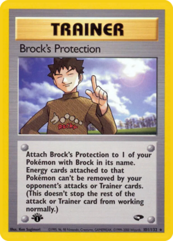 Brock's Protection (TCG) - WikiDex, la enciclopedia Pokémon