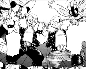 Calvo - WikiDex, la enciclopedia Pokémon