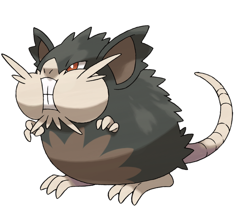 Raticate de Alola - WikiDex, la enciclopedia Pokémon