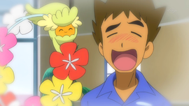 Comfey - WikiDex, la enciclopedia Pokémon