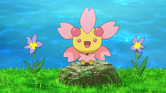 Archivo:EP1226 Cherrim.png - WikiDex, la enciclopedia Pokémon