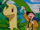 Bayleef - WikiDex, la enciclopedia Pokémon