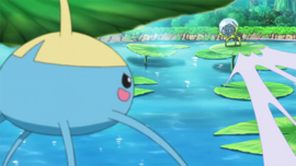 Surskit - WikiDex, la enciclopedia Pokémon