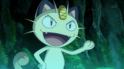 Meowth (Equipo/Team Rocket) - WikiDex, la enciclopedia Pokémon
