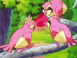 Pidgey - WikiDex, la enciclopedia Pokémon