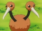 Doduo - WikiDex, la enciclopedia Pokémon