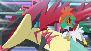 Hawlucha - WikiDex, la enciclopedia Pokémon