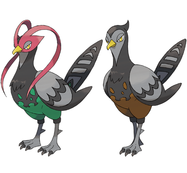 Unfezant - WikiDex, la enciclopedia Pokémon