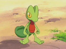 Sceptile de Ash - WikiDex, la enciclopedia Pokémon
