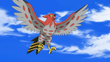 Talonflame - WikiDex, la enciclopedia Pokémon