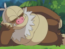 Slaking - WikiDex, la enciclopedia Pokémon