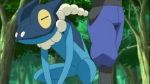 Frogadier - WikiDex, la enciclopedia Pokémon