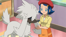 EP812: ¡Peinando a Furfrou!/¡Estilizando a Furfrou! - WikiDex, la ...