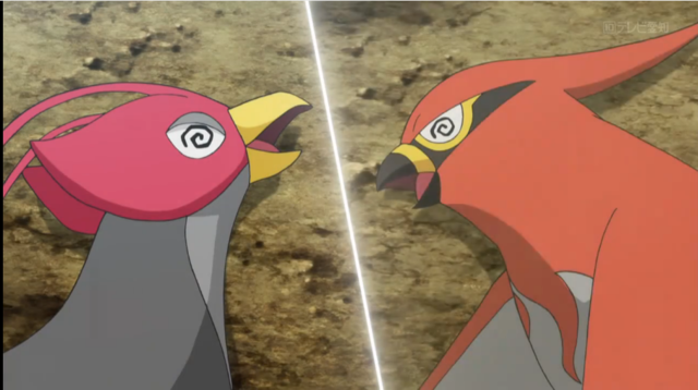 Archivo:EP933 Unfezant y Talonflame debilitados.png - WikiDex, la ...