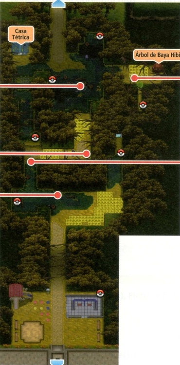 Ruta 14 (Kalos) - WikiDex, la enciclopedia Pokémon