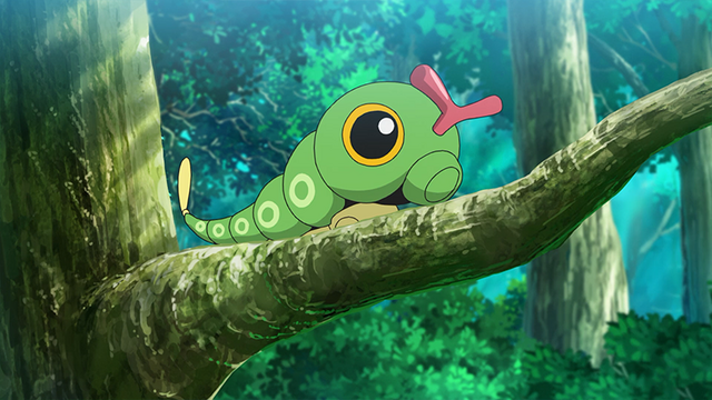 Archivo:EP1231 Caterpie.png - WikiDex, la enciclopedia Pokémon