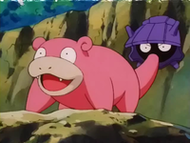 WikiDex, la enciclopedia Pokémon