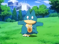 Munchlax - WikiDex, la enciclopedia Pokémon
