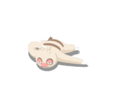 Slakoth (Sleep) - WikiDex, la enciclopedia Pokémon
