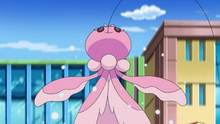 Frillish - WikiDex, la enciclopedia Pokémon