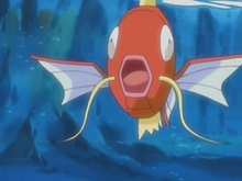 Magikarp - WikiDex, la enciclopedia Pokémon