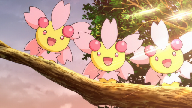 Archivo:EP1225 Cherrim soleados.png - WikiDex, la enciclopedia Pokémon