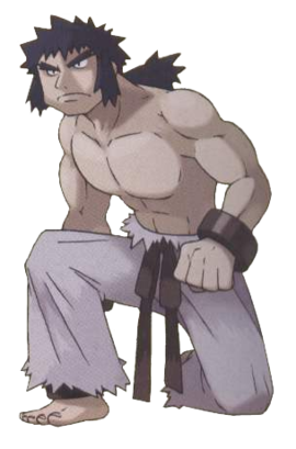 Categoría:Bruno - WikiDex, la enciclopedia Pokémon