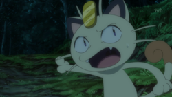 Meowth (Equipo/Team Rocket) - WikiDex, la enciclopedia Pokémon