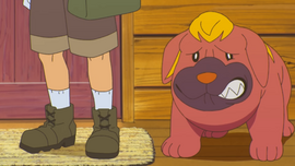 Categoría:Maschiff - WikiDex, la enciclopedia Pokémon