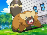 Bibarel - WikiDex, la enciclopedia Pokémon