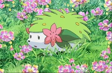 Shaymin - WikiDex, la enciclopedia Pokémon