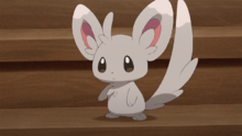 Minccino - WikiDex, la enciclopedia Pokémon