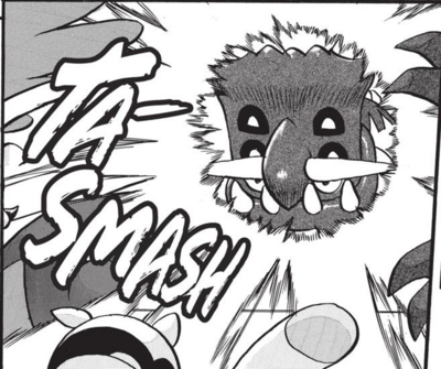 Don - WikiDex, la enciclopedia Pokémon