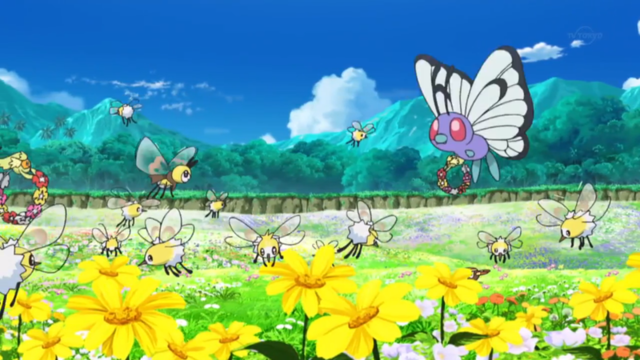 Archivo:EP963 Campo de flores.png - WikiDex, la enciclopedia Pokémon