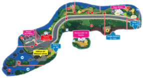 Ruta 8 (Alola) - WikiDex, la enciclopedia Pokémon