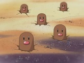 Diglett - WikiDex, la enciclopedia Pokémon
