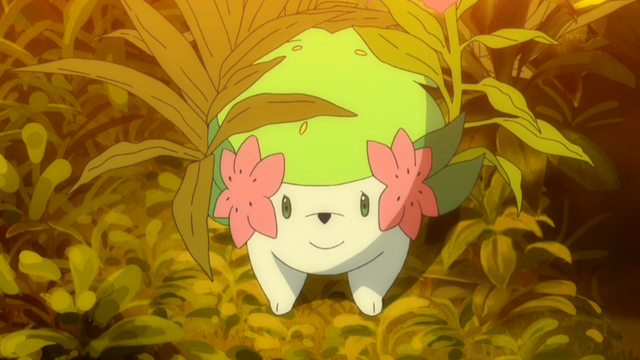 Shaymin (anime) - WikiDex, la enciclopedia Pokémon