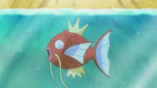 Magikarp - WikiDex, la enciclopedia Pokémon