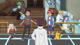 Categoría:Chrysa - WikiDex, la enciclopedia Pokémon