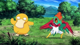 Psyduck - WikiDex, la enciclopedia Pokémon