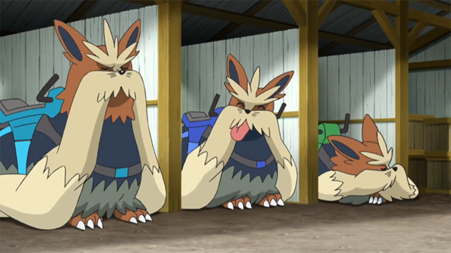 Archivo:EP975 Pokémontura de Stoutland.png - WikiDex, la enciclopedia ...