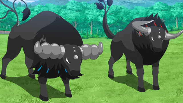 Archivo:EP1335 Tauros de Paldea.png - WikiDex, la enciclopedia Pokémon